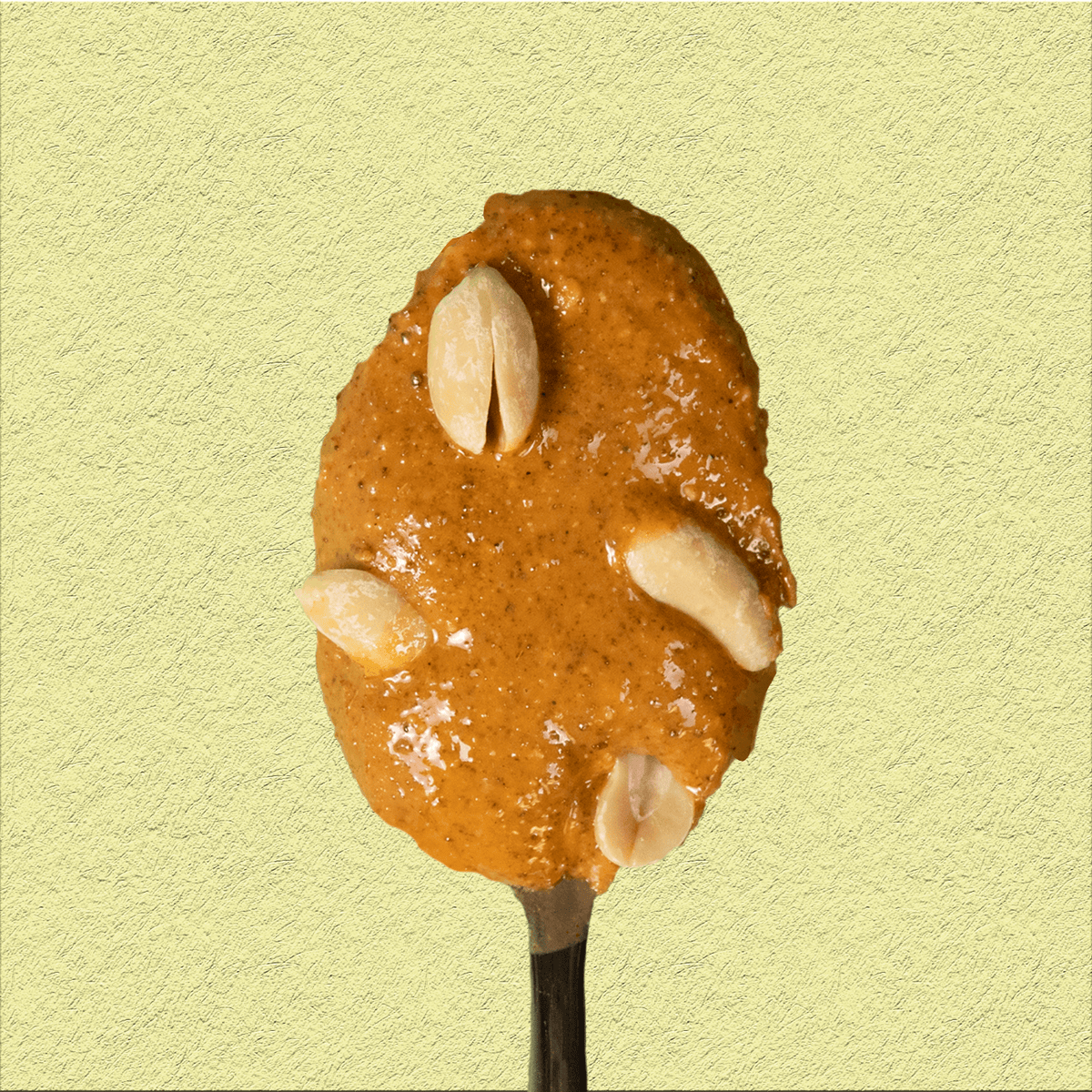 Spring R&D Batch: Lum Lum Thai Curry